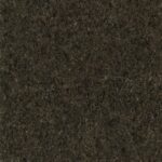 PICASSO™ - Polycor Inc.